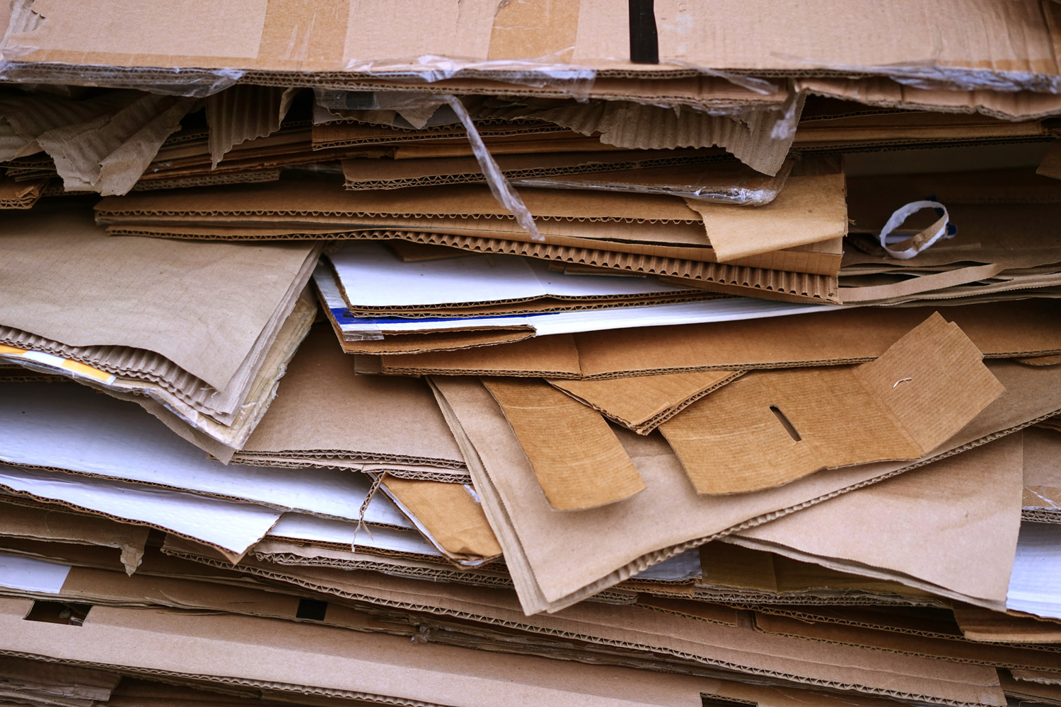 Cardboard Buena Vista County Recycling